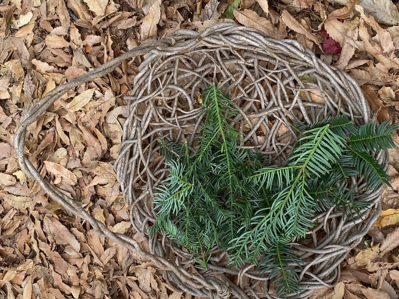 FiIeld Finger みきともこさんによる丁寧に楽しくわかりやすく手ほどきされるワークショップ。